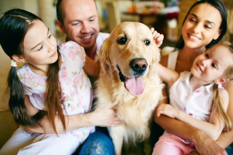 15 Reasons Dogs are Family Members! (‘Man’s Best Friend’) - Lifevif